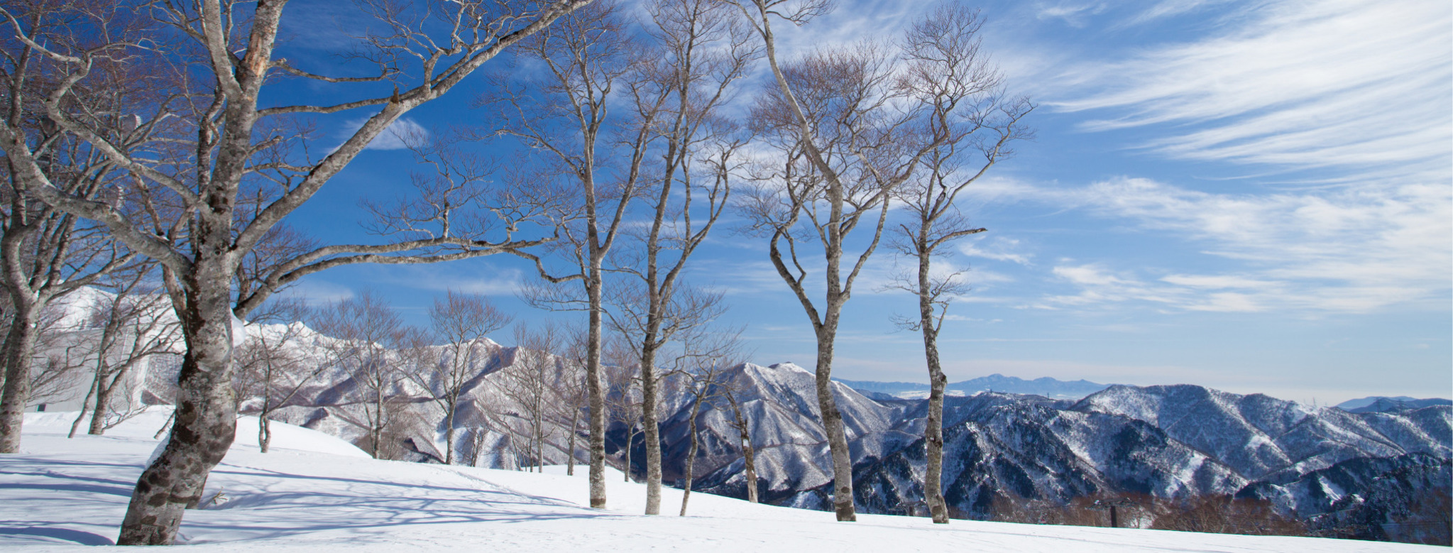 Home - PLUS ONE Inc.